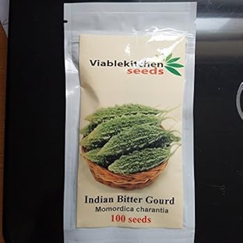 Amazon.com : Bittermelon - Foo Gwa - 10 Bittergourd Seeds - Veggie ...