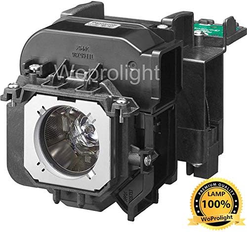 Amazon.com: for Genuine PANASONIC ET-LAEF100 Replacement Projector Lamp ...