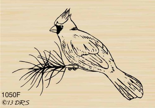 Cardinal Rubber Stamps | Kritters in the Mailbox | Cardinal Rubber Stamp