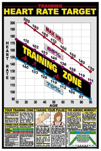 Heart Rate Chart 24" X 36" Laminated Chart in Oman | Whizz Fitness Planners