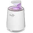 Amazon.com : Trapex Indoor Fly Trap - Gnat Killer for Fruit Fly, Gnats, Moth, Mosquito & Bug ...