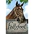 Follyfoot - Series 1-3 - Complete [DVD]: Amazon.co.uk: Gillian Blake ...