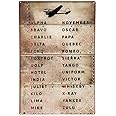 Amazon.com: Pilot Code Aviation Metal Sign Phonetic Alphabet Art-Wall ...