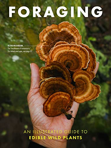 Foraging: An Illustrated Guide to Edible Wild Plants: Cider Mill Press ...