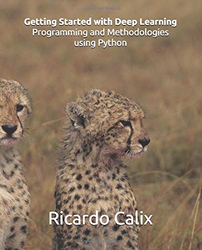 Getting Started with Deep Learning: Programming and Methodologies using Python: Calix, Ricardo A ...