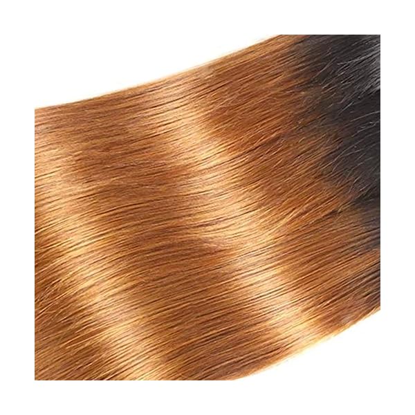 Seelaak 3 Bundles Ombre Brown Bundle t30 Straight Hair Bundle Brazilian ...