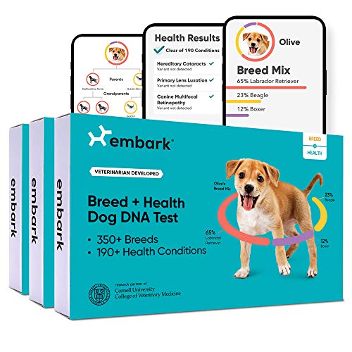 Animal Puppy Dna 🧊 Embark Dog DNA Test Breed Identification 160 Health ...