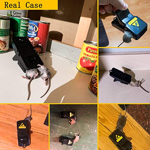 Mouse Traps,Small Mice Traps That Work, Humane Mouse Traps with ...