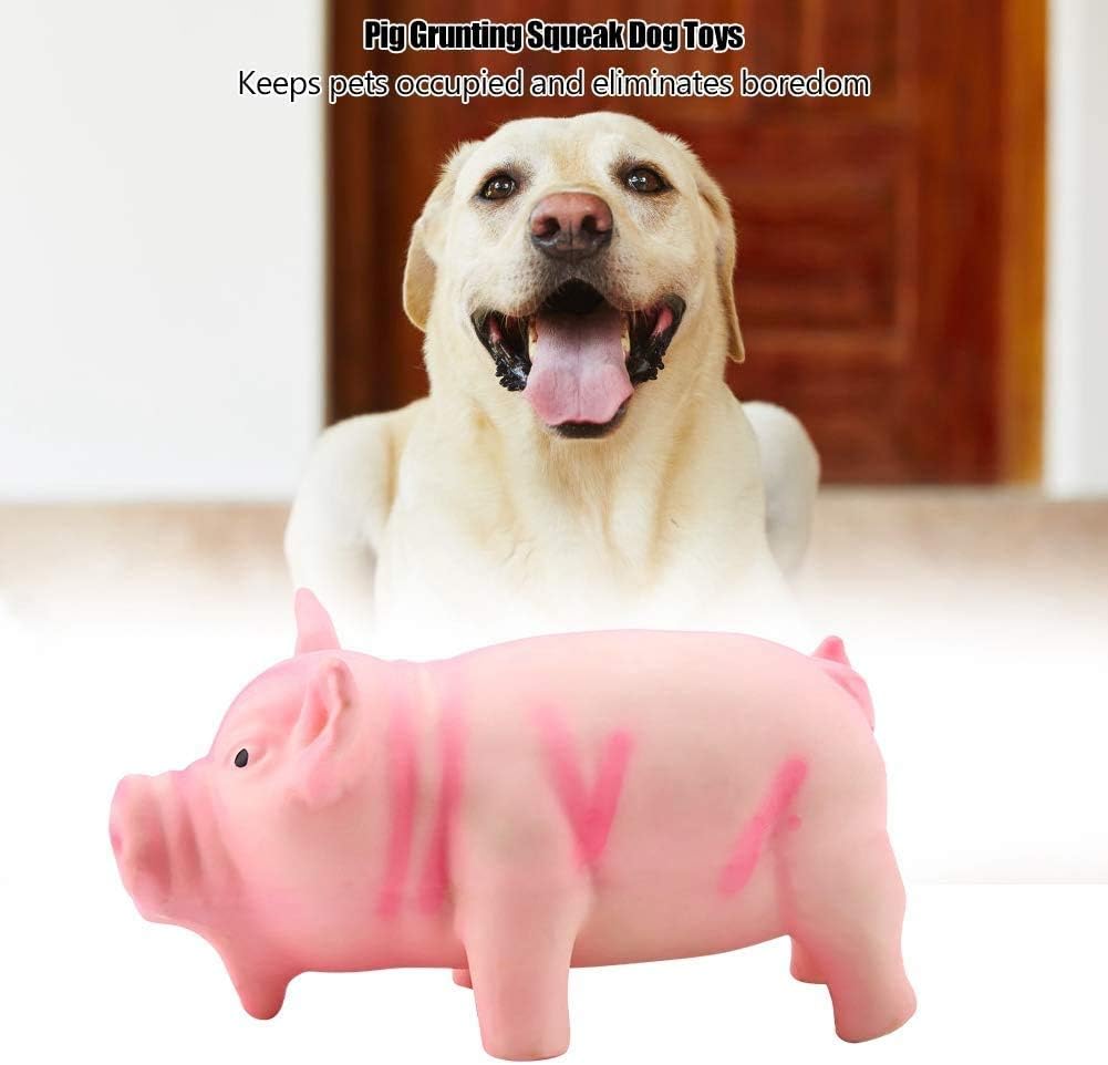 DOKA Dog Chew Latex Cute Pig Grunting Squeak Latex Pet Chew Toys for ...