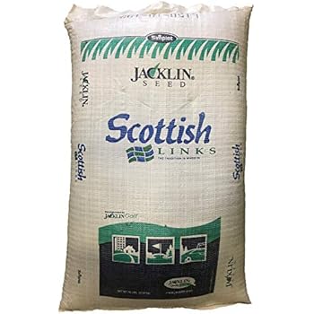 Amazon.com : Jacklin Seed - Scottish Links - 100% Fescue | Certified Grass Seed (5-50 lbs) (50 ...