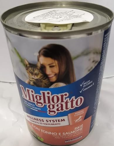 Miglior Gatto With Tuna &Salmone Cat Food 340g price in Egypt | Amazon ...
