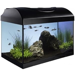 Startup 40 Fish Tank, 40 x 25 x 25 cm: Amazon.co.uk: Pet Supplies