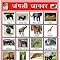 Buy Junglee Janwar Chart for kids (Wild Animals chart in Hindi) Book ...