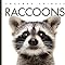 Raccoons (Amazing Animals): Riggs, Kate: 9781682771310: Amazon.com: Books