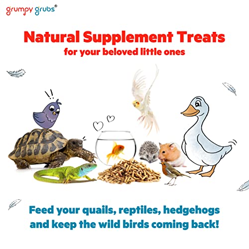 Grumpy Grubs Premium (5lbs) Dried Black Soldier Fly Larvae - Grubs For ...