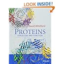 Proteins: Structure and Function: David Whitford: 9780471498940: Amazon ...