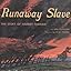 Runaway Slave: The Story of Harriet Tubman (Scholastic ): Ann McGovern ...