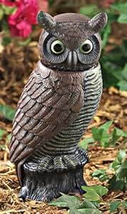 Amazon.com : Singing Owlet Motion-Activated Motion Detector Owl ...