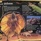 First Animal Encyclopedia (Dk First Reference): DK Publishing ...