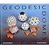 Geodesic Math and How to Use It: Hugh Kenner: 9780520239319: Amazon.com ...