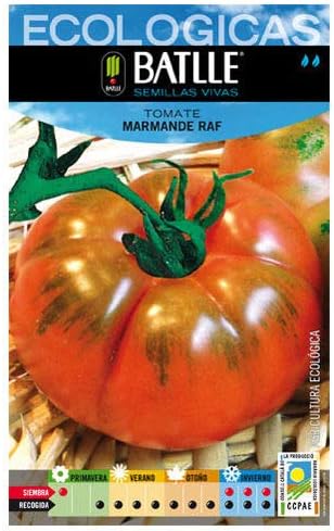 Bio Seeds Batlle - Marmande Tomato RAF (85 Seeds) price in Saudi Arabia ...