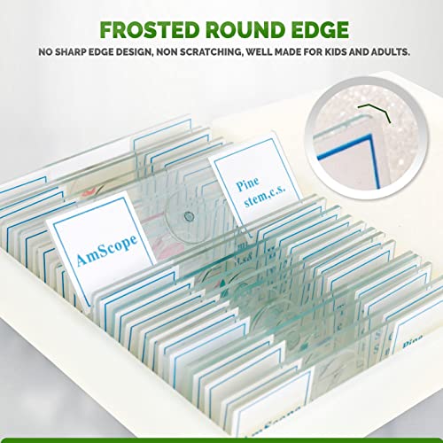 AmScope PS25P Prepared Microscope Slide Set For Basic Biological ...