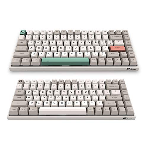 YUNZII AKKO Vintage 9009 Mechanical Keyboard, Dye Sub PBT Keycap Full ...