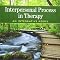 Amazon.com: Interpersonal Process in Therapy: An Integrative Model ...