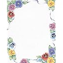 Amazon.com : Great Papers! Pretty Pansies Letterhead, 80 Count, 8.5"x11 ...