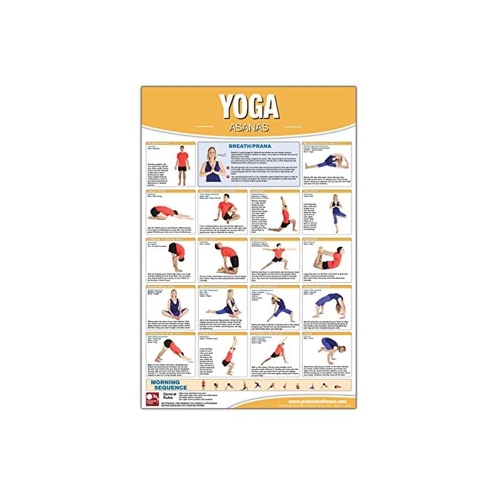 Buy Yoga - Asana Poster/Chart Laminated; Yoga Poster, Yoga Chart, Asana ...