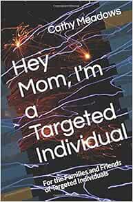 Hey Mom, I'm a Targeted Individual: For the Families and Friends of ...