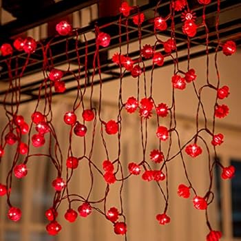 Amazon.com: 33ft/10M 80 LED Red Lanterns String Lights Battery Operated ...