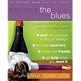 Beyond the Blues: A Workbook to Help Teens Overcome Depression: Schab ...