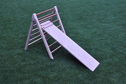 Amazon.com: Reversible Climbing Ramp and Slide a great addition to our ...