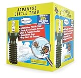 Japanese Beetles: The 4 Easy Methods To Get Rid Off