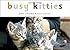 Amazon.com: So Many Cats! (9780899197005): Beatrice Schenk De Regniers ...