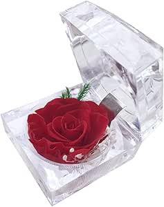 Amazon.com: Preserved Rose Gift, Forever Flower Gifts for Women Mom ...