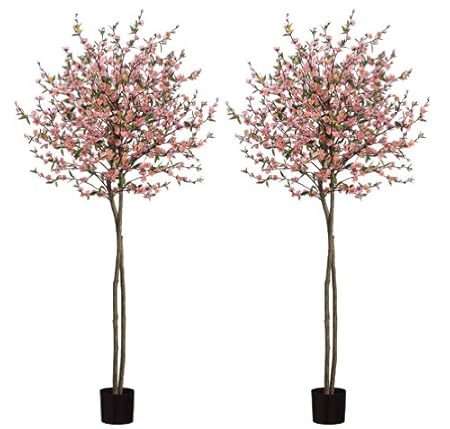 TWO 6' Cherry Blossom Tree in Pot: Amazon.co.uk: Kitchen & Home