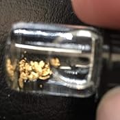 Amazon.com : 1/4 Pound of Yuba River Gold Panning Paydirt : Garden ...