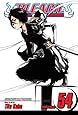 Amazon.com: Bleach, Vol. 54 (9781421551388): Tite Kubo, Tite Kubo: Books