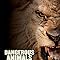 Dangerous Animals: The World's Most Deadly Creatures: Jackson, Tom ...