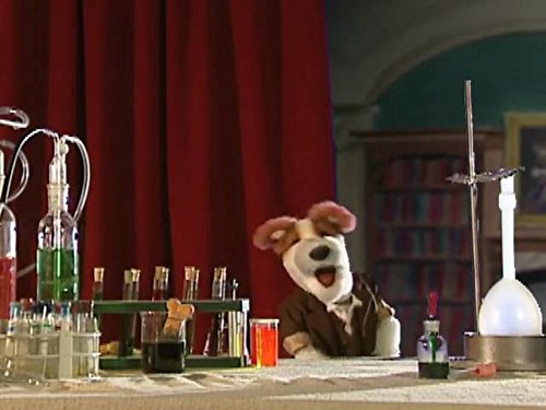 Watch Ruffus The Dog - Season 1 | Prime Video