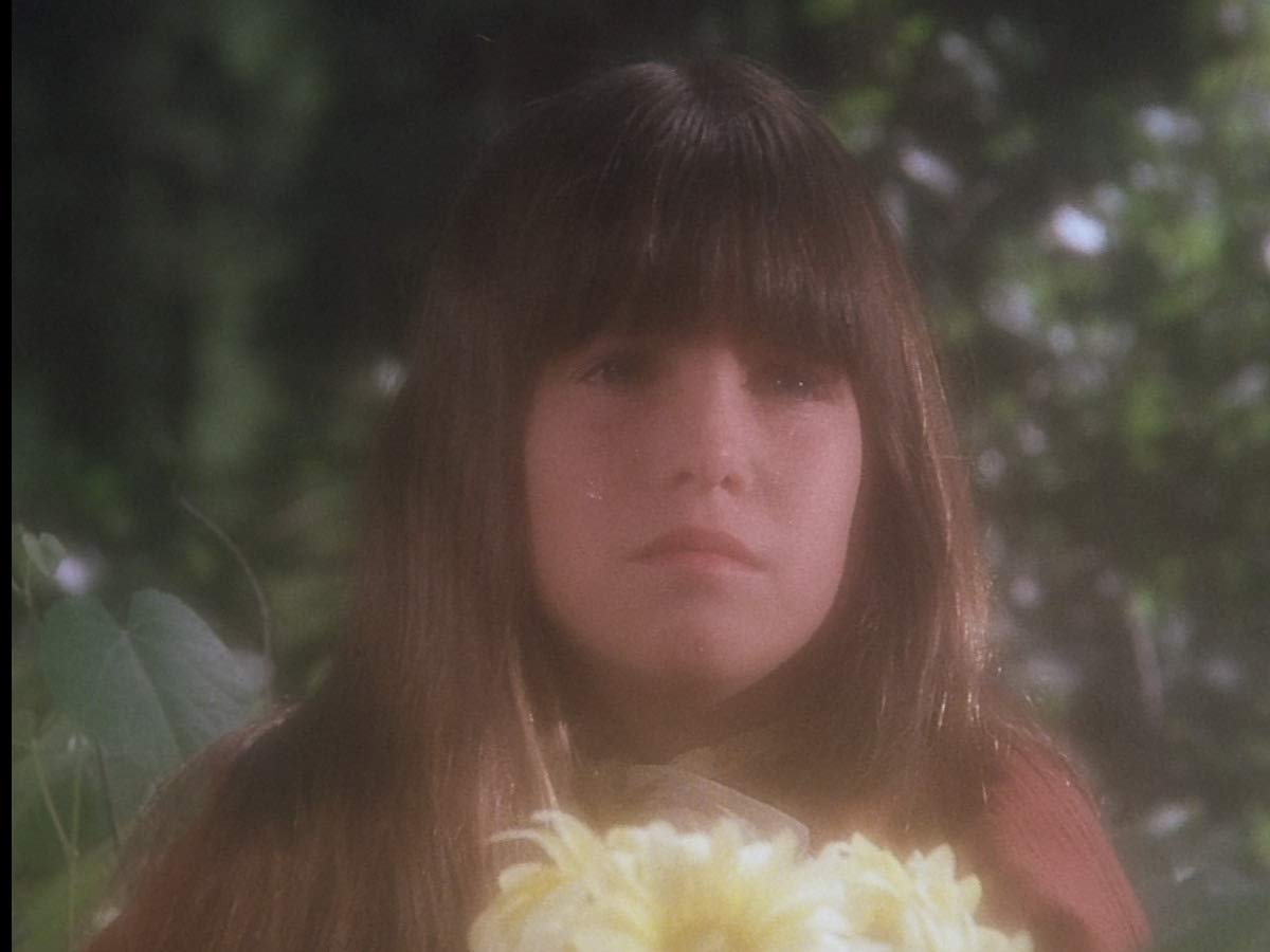 Watch Little House On the Prairie - Season 5 | Prime Video