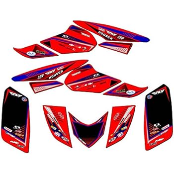 Amazon.com: Senge Graphics 2001-2005 Honda TRX 250EX, Surge Red ...