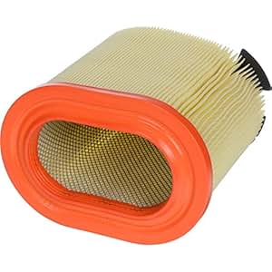 Amazon.com: FRAM CA12183 Extra Guard Rigid Axial Air Filter: Automotive