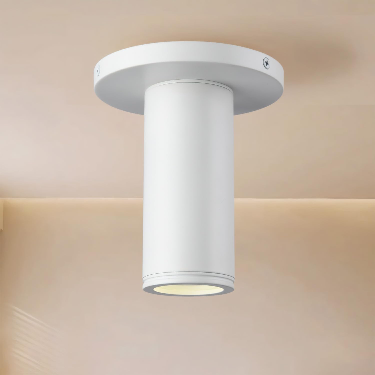 Pirxxiy Soft White Cylinder Ceiling Light Fixture - LED Dimmable Flush ...