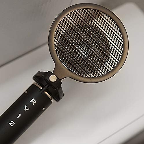 Red5 Audio RV12 Studio Condenser Microphone – BigaMart