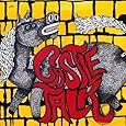 SCREAMING FEMALES - Castle Talk - Amazon.com Music