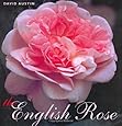 English Rose: Austin David: 9781840910278: Amazon.com: Books