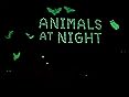 Amazon.com: Animals at Night: An Interactive Glow-in-the-Dark Bedtime ...